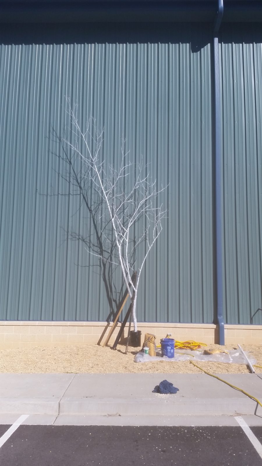 Dotted Trees - Church Stage Design Ideas - Scenic sets and stage design ...